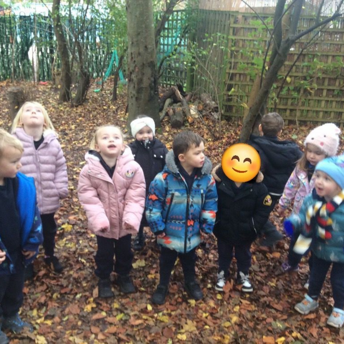 Preschool learn about the signs of autumn 🍂 - Manor Park CE First School